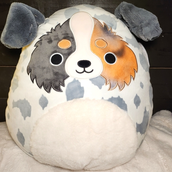 Squishmallows | Toys | Nwt 6 Squishmallows Raylor Australian Shepherd ...